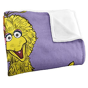 Sesame Street Big Bird Painted Officially Licensed Silky Touch Super Soft Throw Blanket 36" x 58"