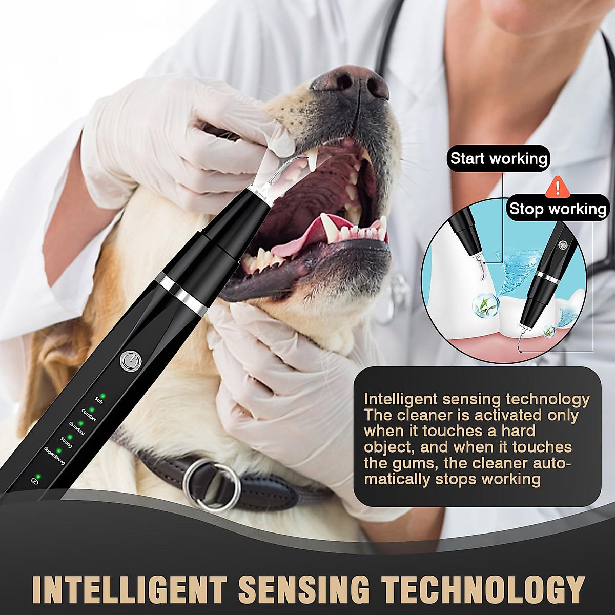 Ultrasonic Tooth Cleaner for Dogs, Dog Teeth Plaque Remover Pets Dental Care Scaler Tartar Stains Electric Cleaning Kit Finger Toothbrush Rechargeable 5 Cleaning Modes 4 Heads with LED Light (Black)