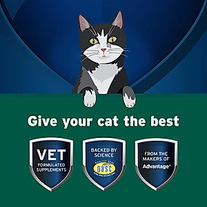 Pet Protect from The Makers of Advantage Vet-Formulated Probiotic Balance+ Cat Supplement | Oral Gel | 15g