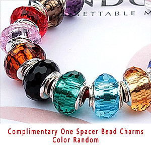 HappyStar 925 Sterling Silver Charms for Bracelets and Necklaces,Combination Dangle Pendants Beads Charms Jewelry Gift for Couples Sisters.（With Spacer Beads）