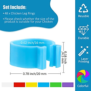 48 Pieces 16 mm Medium Chicken Leg Rings Multiple Colour Chicken Identification Leg Bands Numbered Clip on Leg Rings for Gamefowl Turkey Duck Goose Guinea Fit 1/2 to 5/8 Inch Legs