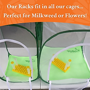 Short Peg Rack with 8 Large Floral Tubes to Feed Caterpillars Fresh Milkweed Cuttings, Host Plants, and Nectar Flowers by MONARCH BUTTERFLY LIFE