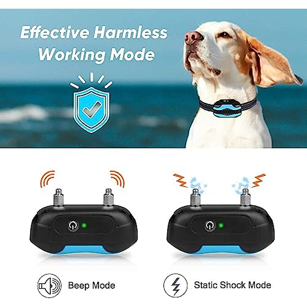 PcEoTllar Electric Fence for Dogs, Rechargeable Underground Dog Fence System, 1 Waterproof Collar Receivers, with 656Ft Underground/Aboveground Boundary Wire, for Large Medium Small Dogs