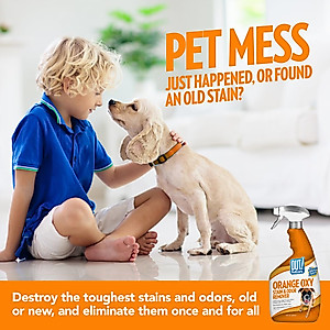OUT! PetCare Orange Oxy Stain & Odor Remover | Oxy Clean Pet Stain and Odor Eliminator | 32 oz