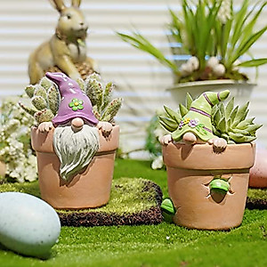 Newman House Studio Spring-Gnomes Flower-Pots Easter Decorations Cactus-Succulents - Easter Decorative Purple Planter Pots Unique Garden Pots with Drainage Hole for Indoor Outdoor 3 x 3.5 x 5 inch