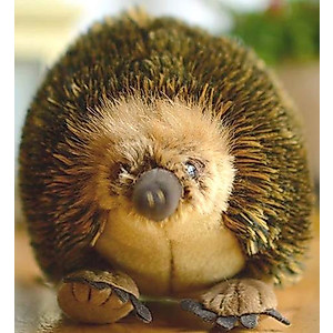 TAMMYFLYFLY Lifelike Echidna Plush Stuffed Animal Toy Echidna Animal Model (20CM)