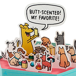 Hallmark Paper Wonder Shoebox Funny Pop Up Card (Dog's Favorite Thing) for Mother's Day, Graduation, Birthdays, Celebrations