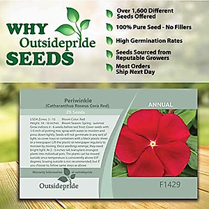 Outsidepride Vinca Periwinkle Cora Red Garden Flower, Ground Cover, & Container Plants - 25 Seeds