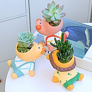 Succulent Pots - Small Succulent Planters Pots with Drainage Set of 6, Cute Cartoon Animal Planter Pots Ceramic Pots for Indoor Cactus Plants Tiny Flower Bonsai Planter Container for Home Garden