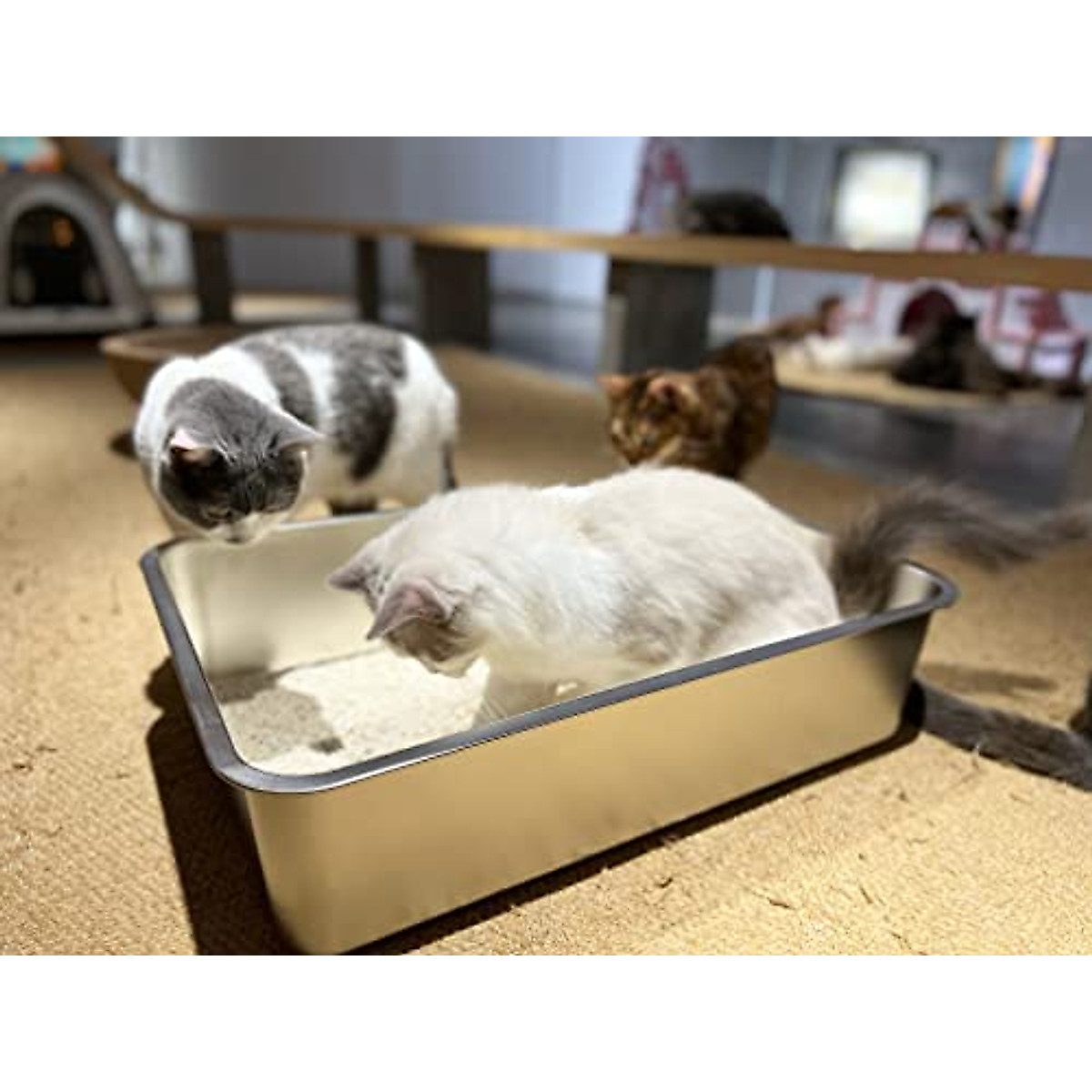 IKITCHEN Stainless Steel Cat Litter Box, Large Metal Litter Box for Cats Rabbits Never Absorbs Odors Anti-Slip Rubber Bottom (Silver, 23.5" x 15.5" x 6")