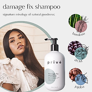 Prive Damage Fix Shampoo – Repair and Strengthen Damaged, Dull or Over Processed Hair from Within Natural Ingredients Vegan Cruelty-Free Color-Safe 12oz