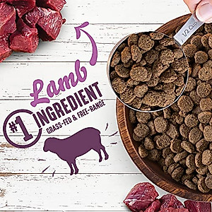 Unrefined Roasted Lamb with Ancient Grains & Superfoods Dry Dog & Puppy Food, 4 lb., (Model: 1710489)