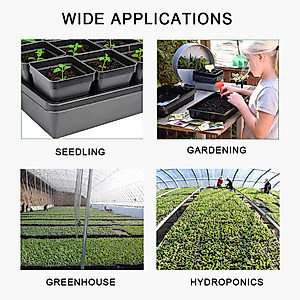 RooTrimmer Grow-Green 10-Pack Microgreen Seed Starter Grow Trays for Seedlings, Shallow Seeding Germination Flats Non Standard 1015 Tray no Holes Plant Sprouter Propogation Tray