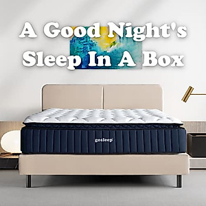 DULCESLEEP GoSleep 14-inch Luxury Hybrid Opulence Premium Memory Foam Bed Mattress with Pillow Top Cashmere Knitted Cover, CertiPUR - US Certified, Mattress in a Box (Queen Size, Soft)