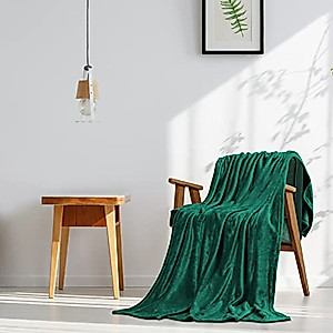 Dekoresyon Fleece Throw Blanket, Plush Fuzzy Bed Blanket Super Soft Lightweight Flannel Blankets for Couch Bed Sofa, (Green, 50x60 Inches)