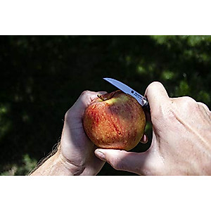 Spyderco Mini Paring Kitchen Knife with 2.25" Stainless Steel Blade with Durable Black Polypropylene Handle - PlainEdge - K09PBK