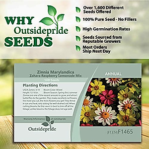 Outsidepride Zinnia Zahara Raspberry Lemonade Heat & Drought Tolerant Garden Cut Flowers - 50 Seeds