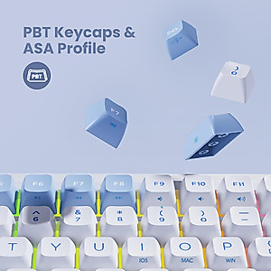 ROYALAXE L98 Wireless Mechanical Keyboard with 1.14” TFT LCD, Hot-swappable RGB Keyboard with Gateron G Yellow Pro Switches, Bluetooth/2.4G/Wired, Gasket Mount, PBT Keycaps, Navy White