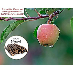 500g Organic Apple Sticks for Rabbits Wood Tree Branches Pet Snacks Chew Toys Branch for Guinea Pigs Chinchilla Squirrel Bunny Hamster Small Animals Teeth Grinding