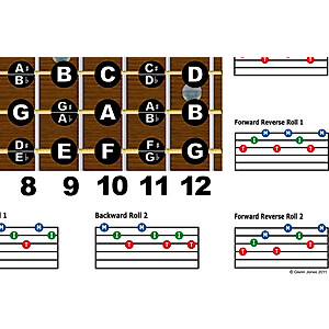 Dobro G Tuning Resonator Guitar Fretboard Note & Rolls Chart - Beginners & Intermediate Instructional Easy Poster Chords 11x17 | A New Song Music