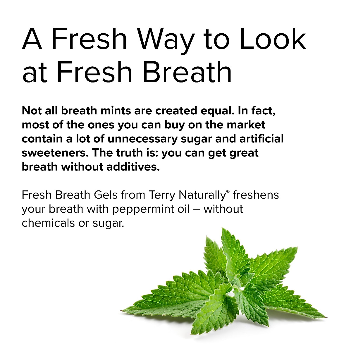 Terry Naturally Fresh Breath Gels (3 Pack) - Cool Mint Flavor, 45 Softgels - Sugar-Free Peppermint Oil Breath Mints, Chemical-Free - Non-GMO, Gluten-Free - 135 Servings