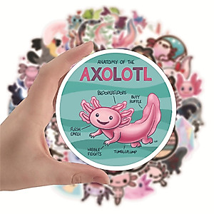 Cute Axolotl Stickers Axolotl Stuff Gifts for Kids Adults, Kawaii Stickers 50PCS Kechup Vinyl Waterproof Animal Stickers for Water Bottles Luggage Laptop