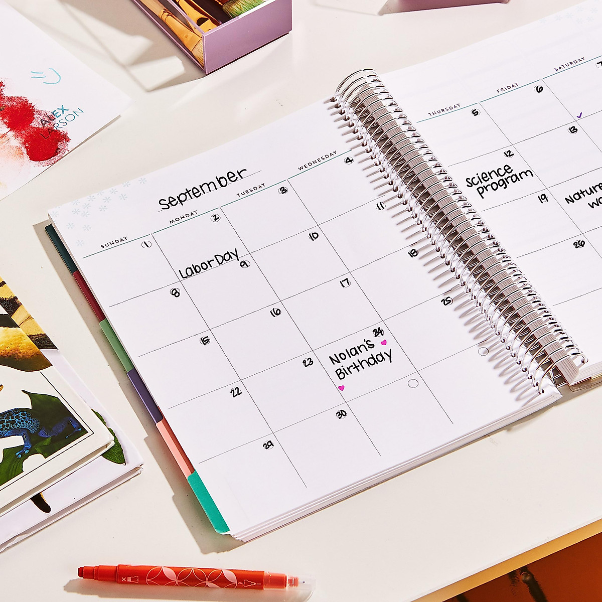 Undated Homeschool Planner 8.5&quot; x 11&quot; Platinum Spiral 12-Month. Colorful Cosmos Classic Cover by Erin Condren