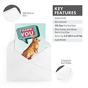 Easykart 18 Thank You Cards with Envelopes , Premium Gold Foil Print, 6 Designs Assorted Thank You Cards for Birthday , Baby Shower, Wedding, Bridal Shower, Small Business, 4.5”x 6.75”