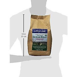 Life Line Pet Nutrition Organic Ocean Kelp Supplement for Skin & Coat, Digestion in Dogs & Cats,10lb, 20210