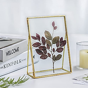 NCYP Glass Table Signs for Wedding - Small 5x7 Inches Place Card Holder - Gold Glass Photo Frame - Rectangle Display Brass Frame for Pressed Dried Flowers, Centerpiece (Glass Frame Only)