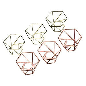 SanSanYa 12Pieces Mini Air Plant Stand Metal Geometric Air Plant Display Stand Geometric Air Plant Container Mini Air Plant Holders