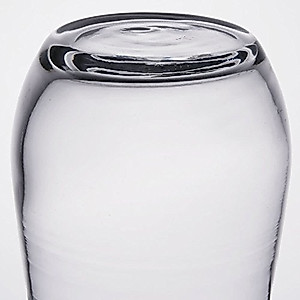 Libbey Stemless 6 Ounce Wine Taster / Mini / Sample Glass 260, Set of 6 w/ FDL Party Picks