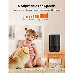 Air Purifier for Home Bedroom, True HEPA Air Purifiers for Small Room, Air Cleaners for Smoke Pollen Pet Hair Dander Dust Odor with 4 Fan Speeds, Sleep Mode, Night Light, Black