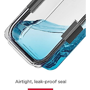 Rubbermaid Brilliance Food Storage Containers Plastic Containers with Lids BPA Free, Leak Proof Food Container, Clear, Two sets of 24 (48 pieces total)