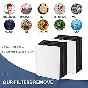 C545 Replacement HEPA Filters Compatible with Winix C545 Air Cleaner Purifier, Ture HEPA Filter S, Part number 1712-0096-00