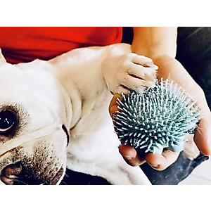 Ctpeng Dog Bath Brush,Soft Pet Shampoo Brush,Cat Massage Brush for Massaging Washing＆Bathing(Blue)