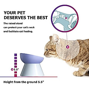 Y YHY Raised Cat Food Bowl, Tilted Elevated Cat Bowl 6 Inch Anti Vomiting for Food and Water Orthopedic Cat Bowls for Flat Faced Cats, Small Dogs, Protect Pet's Spine