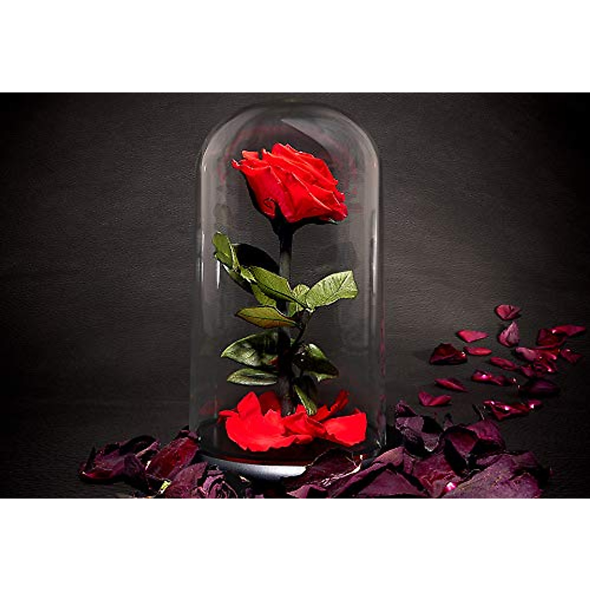 Sharper Image Timeless Rose - Red