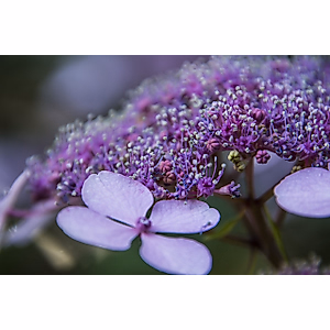 Tamron B028N 18-400 mm f3.5-6.3 Di II VC HLD Lens for Nikon - Black