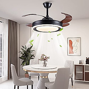 Asyko Retractable Ceiling Fans with Lights and Remote Control - Modern Bladeless Ceiling Fans Enclosed Ceiling Fan with LED Lighting for Bedroom/Living Room/Study (Black 42")