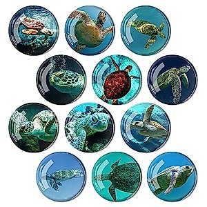 Glass Strong Animals Refrigerator Magnets,12 Pcs Decorative Magnets for Fridge Lovely Decor for Home Kitchen Office Whiteboard (Turtle Refrigerator Magnet)