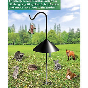 Fandature 19 Inch PP Squirrel Proof Baffle for Protecting Outside Pole Bird Feeders and Bird Houses, Pole Mount Raccoon and Squirrel Guard Stopper for Shepherd Hooks - Black, 1 Pack