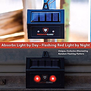 Solar Powered Predator Deterrent Light Scares Nocturnal Nuisance Animals Away - Nightime Deer Coyote Raccoon Wild Animal Repellent Device - Chicken Coop Accessories - Red LED Eyes