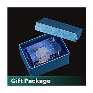 Ultrassist 3D Human Brain Crystal Model, Laser Etched Anatomical Model for Home and Office Decoration, Neurology Gifts