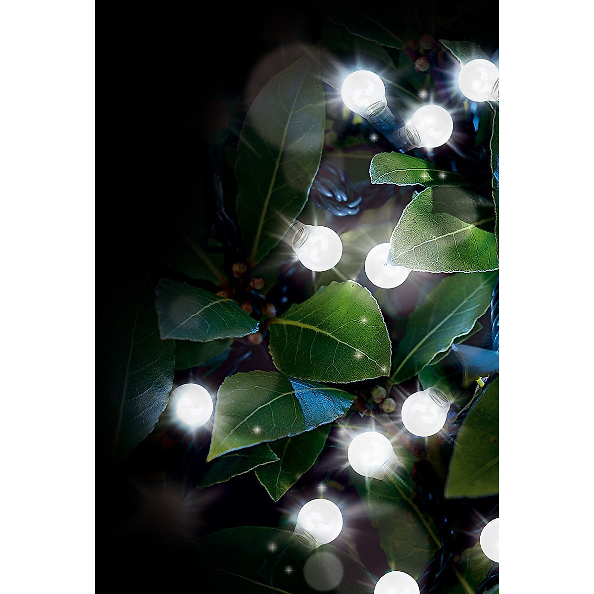 WONFAST Solar Bulb Lights, Waterproof 1.5meter 10LED Plastic Solar Clear Globe Bulbs Fairy String Lights for Indoor/Outdoor Christmas Wedding Party Garden Holiday Landscape Decoration (White)