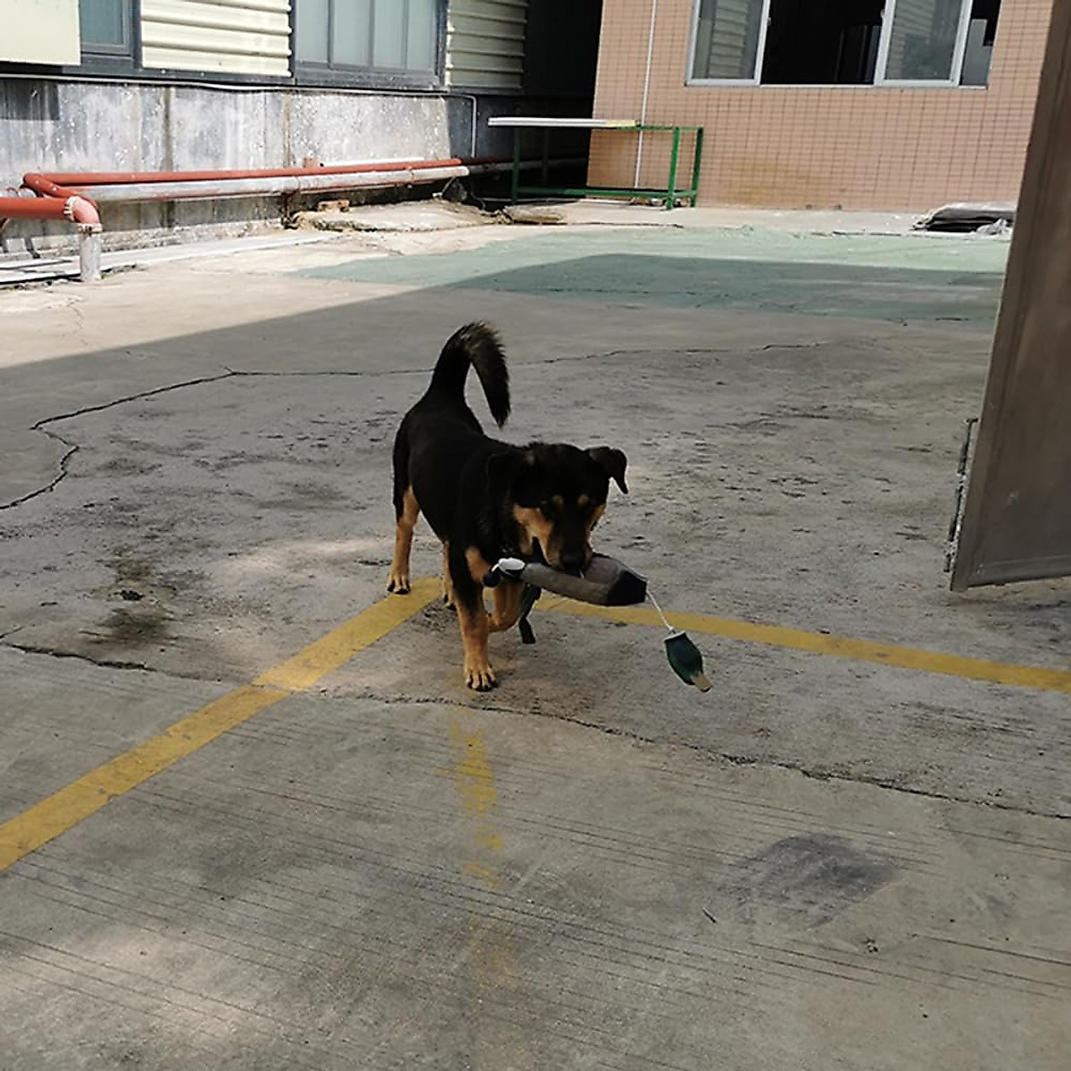 YardGo Duck Dog Toy, Training Dummy Retrieving Dog Toy, Duck Rope Toy, Duck Bumper Retriever, Pheasant Dog Toy, Dog Training Toy for Small, Medium and Large Dogs