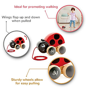 Hape Ladybug Pull-Along | Easy Pull Flapping Wooden Toddler Toy, Multi-Color