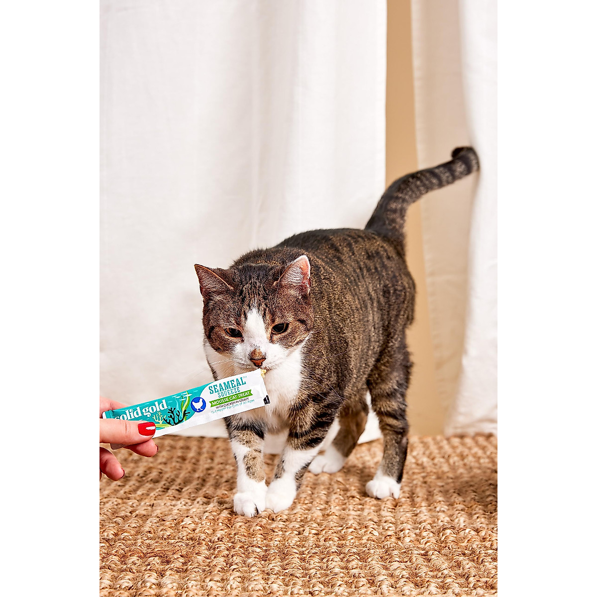 Solid Gold Lickable Cat Treats - Salmon SeaMeal Squeeze Squeezable Cat Treats for Indoor Cats 30 Pack - Made with Fiber-Rich Seaweed for Digestive Health for Immune Support - 3 oz / 30 Count