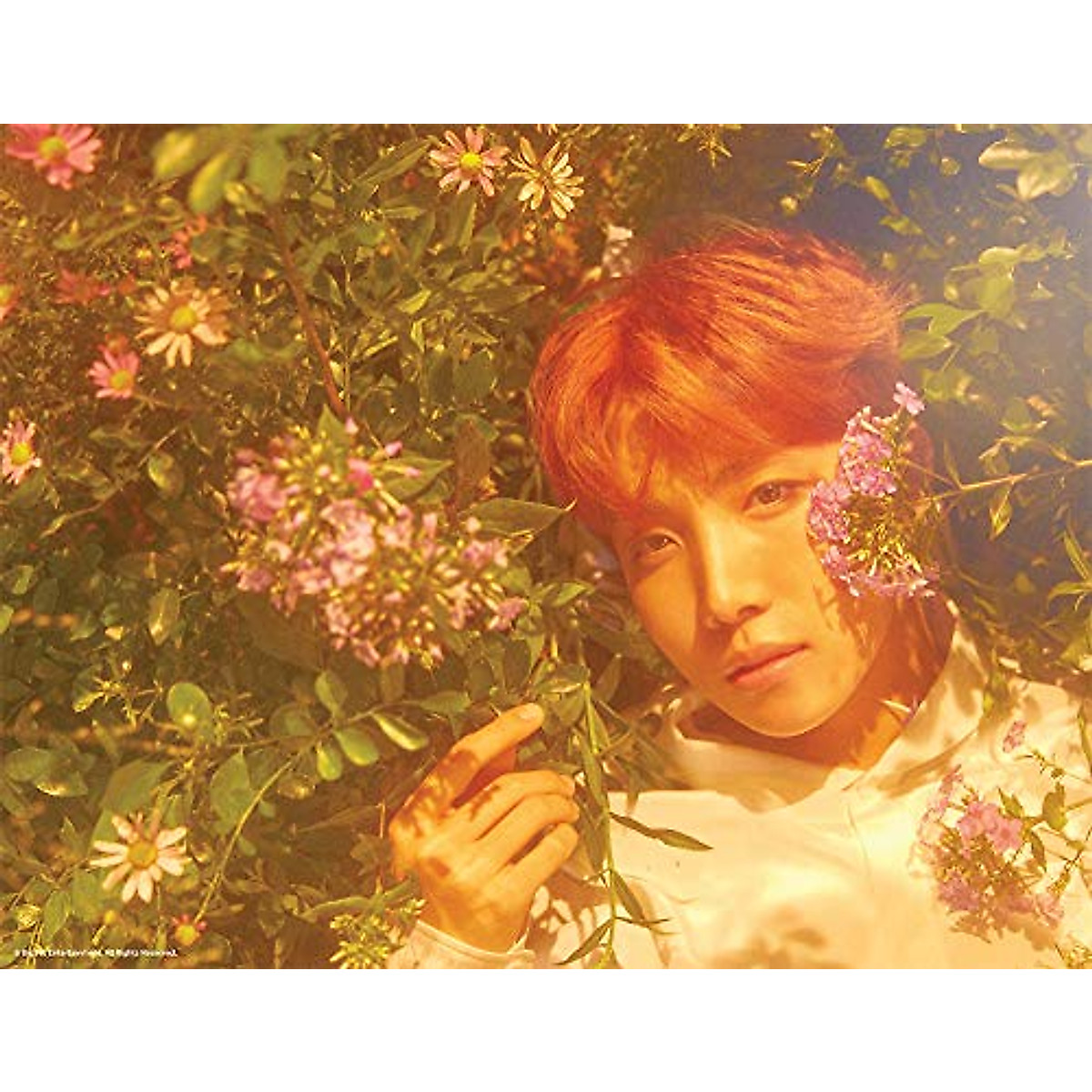 BTS OFFICIAL Photo Collection 8.5 x 11 Inch First Edition, K-Pop Bangtan Boys Music