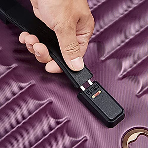 DELSEY PARIS Cruise 3.0 Hardside Expandable Luggage with Spinner Wheels, Plum, Checked 26 Inch Trunk